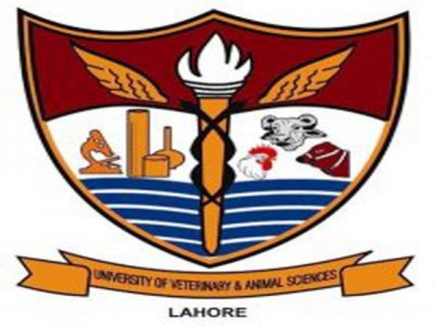 University Of Veterinary And Animal Sciences UVAS Lahore Fee Structure ...