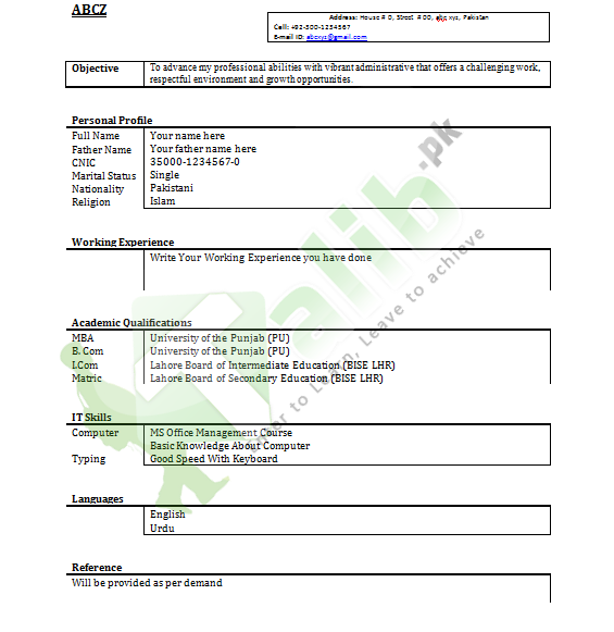 Professional CV Format In MS Word Doc Free Download PDF Talib