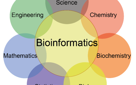 Bioinformatics Scope In Pakistan Jobs Salary Subjects Universities